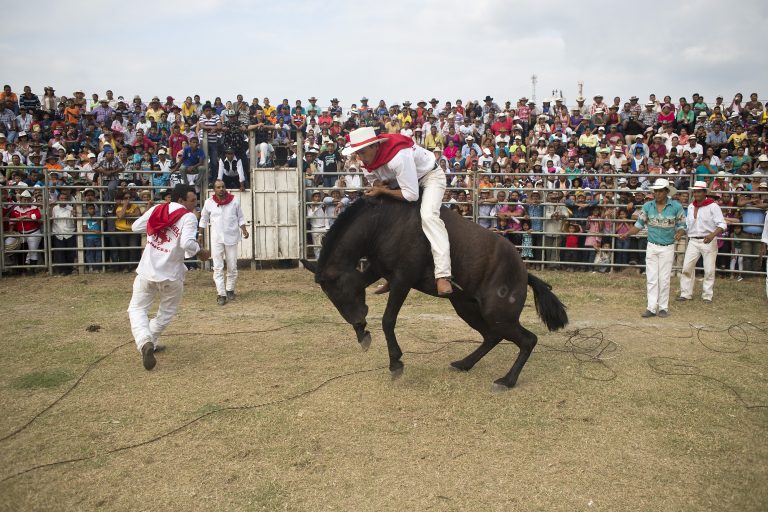 El rodeo, mezcla de tradición cultura y turismo – Ministerio de Turismo