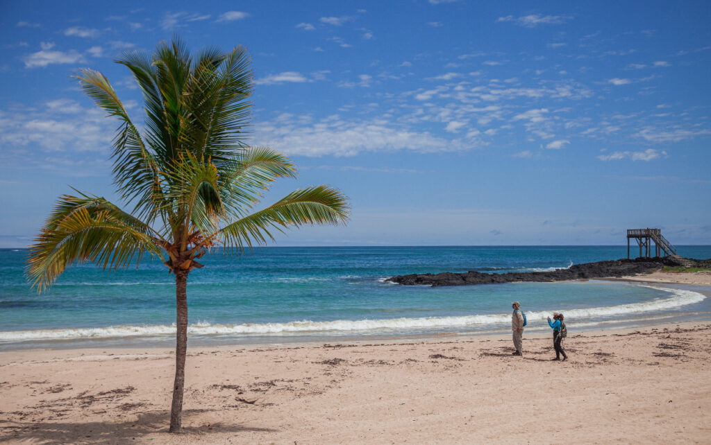 Disfruta los encantos de Isabela y celebra sus 49 años de cantonización ...